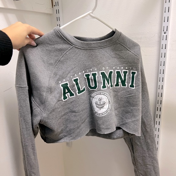 Champion | Sweaters | Hawaii University Merch | Poshmark